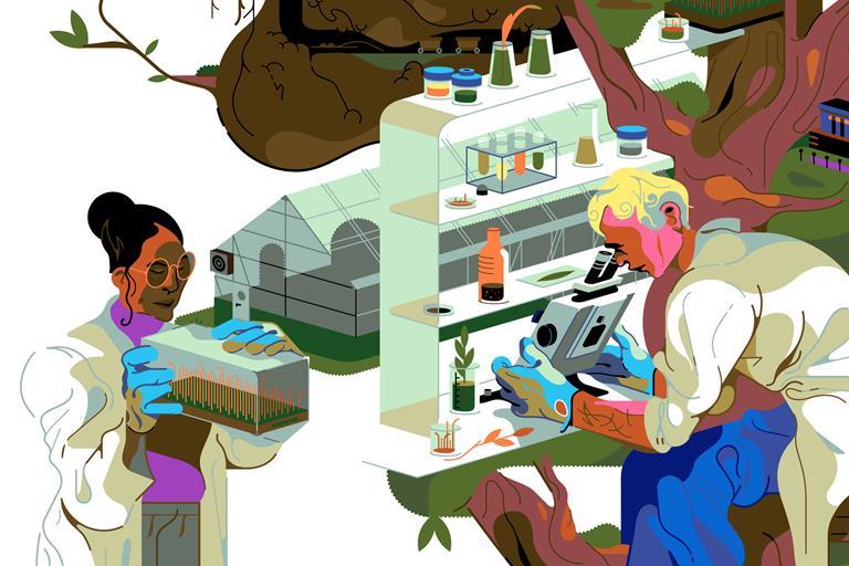 Phytomining: how to mine a tree | Feature | RSC Education
